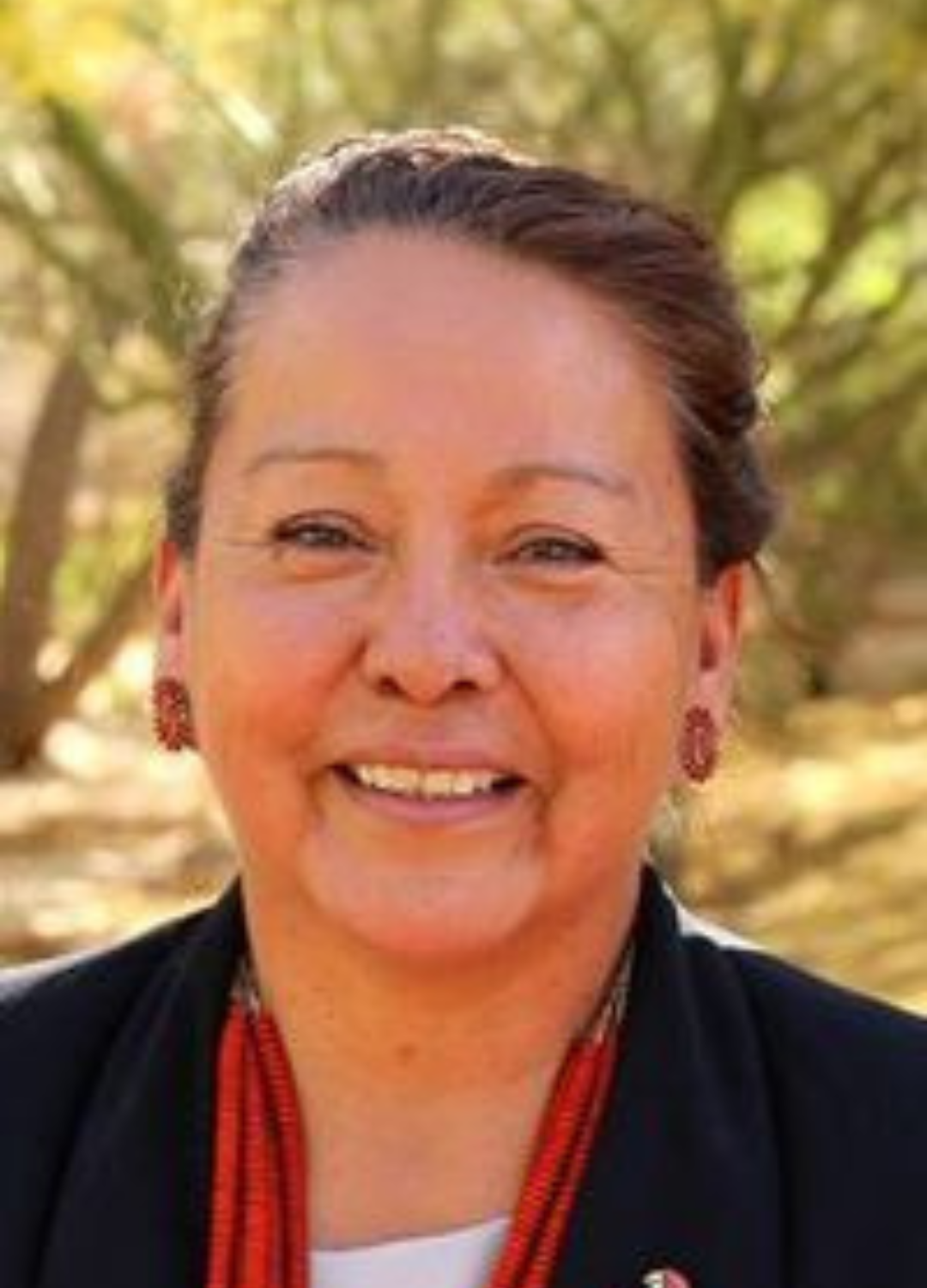 Native American Heritage month - Arizona List