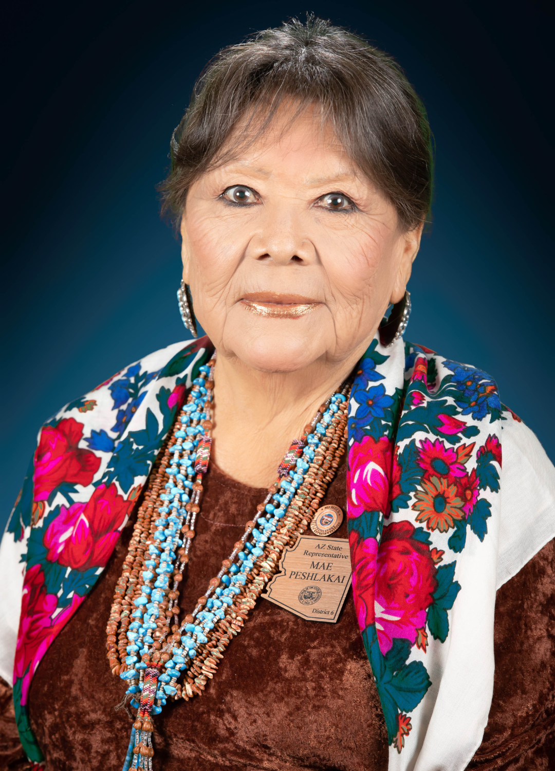 Native American Heritage month - Arizona List